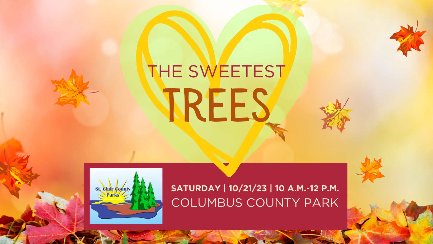 Take Your Sweetie for a Fall Color Walk in the Woods!