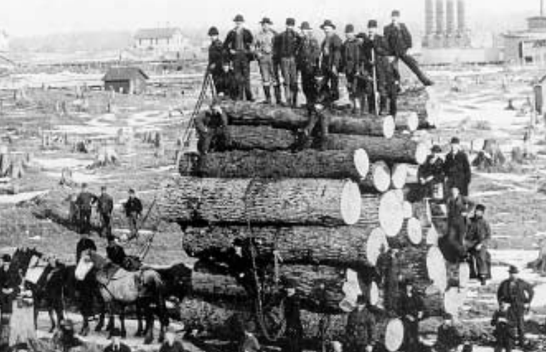 Michigan's newest old growth forest -- the Baker Woodlot -- is on MSU ...
