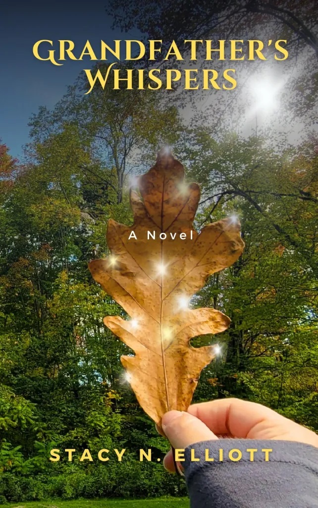 Local author wins book cover award for debut novel